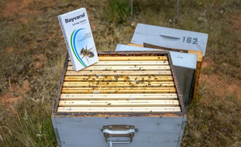 Bayvarol : traitement de rotation contre Varroa - Véto-pharma