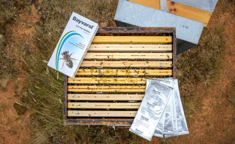 Bayvarol : traitement de rotation contre Varroa - Véto-pharma